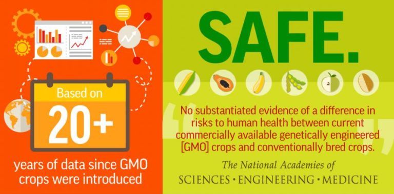 GMO Safety Study Made Simple [Infographic] - Food Industry Executive