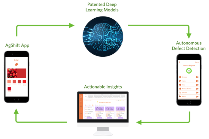 Using Deep Learning to Automate Food Inspection and Reduce Food Waste ...