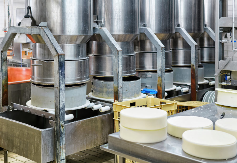 Suppliers Line Up for Cheese Production Line at PROCESS EXPO - Food ...