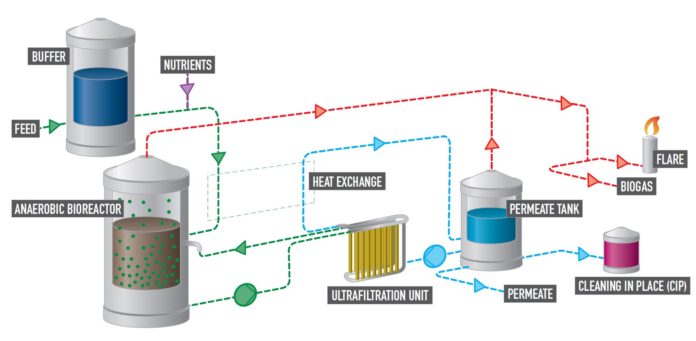 Did You Know? When “Bugs” in a Food Processing Plant Are a Good Thing ...