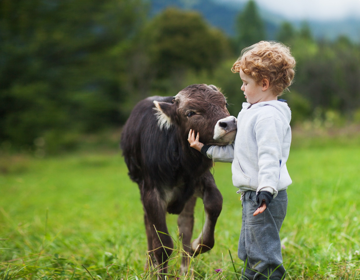 Aleph Farms Going Carbon-Neutral by 2025 - Food Industry Executive