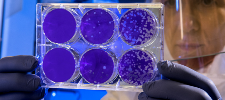 New BAX® System Real-Time PCR Assay for E. Real-Time PCR Assay for E ...