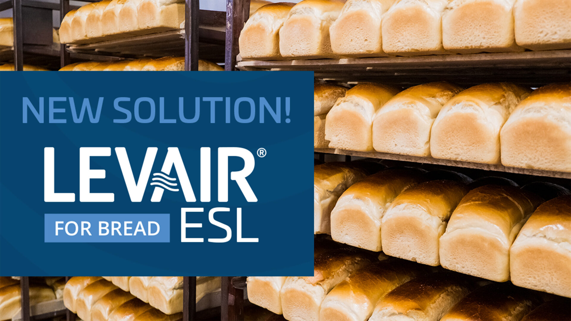 Innophos Launches New Shelf-Life Extension Solution for Bread - Food ...