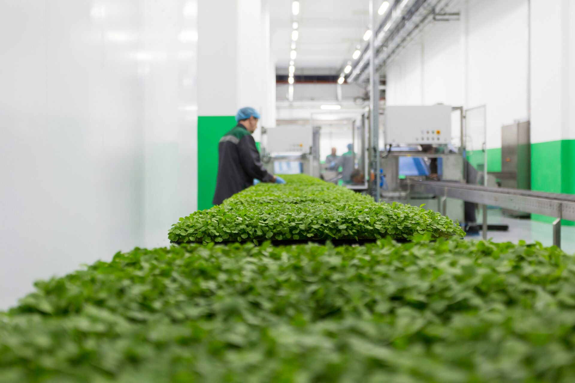 The Digital Passport: Why 2026 Is the Final Deadline for Automated Farm ...